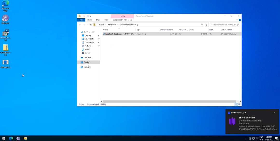 SentinelOne EDR: Explaining and Demonstrating Rollback Security - Tech with JD