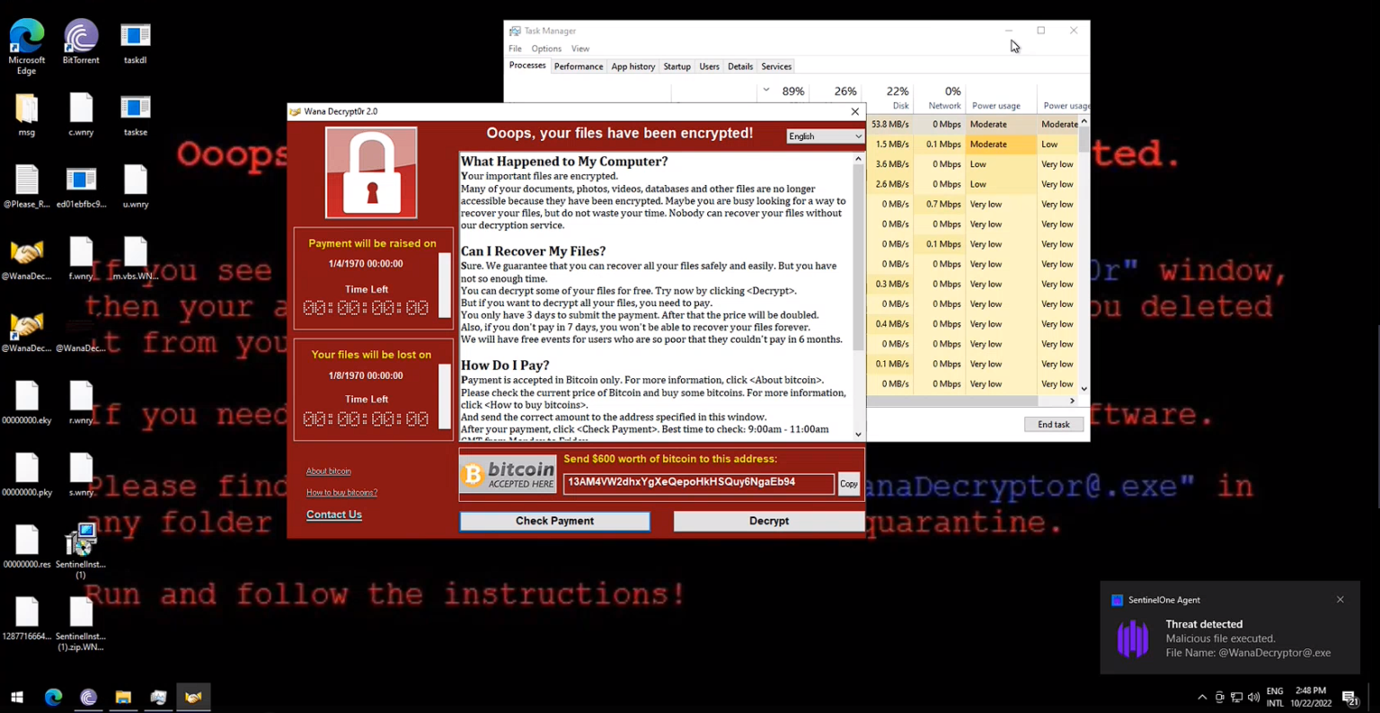 SentinelOne EDR: Explaining and Demonstrating Rollback Security - Tech with JD